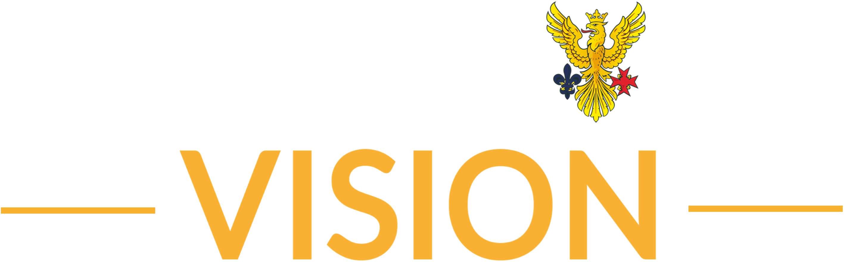 ICSM Vision